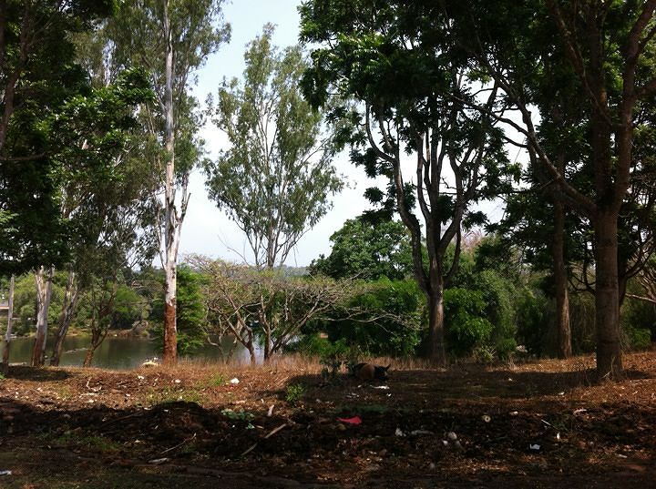 Nisargadhama Forest coorg entry fee, Nisargadhama Forest ticket, entry ... Nisargadhama Forest coorg entry fee, Nisargadhama Forest ticket, entry ...