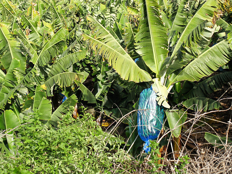 Bhusawal Tourism, Bhusawal Travel Guide, Must See Places in Bhusawal ...