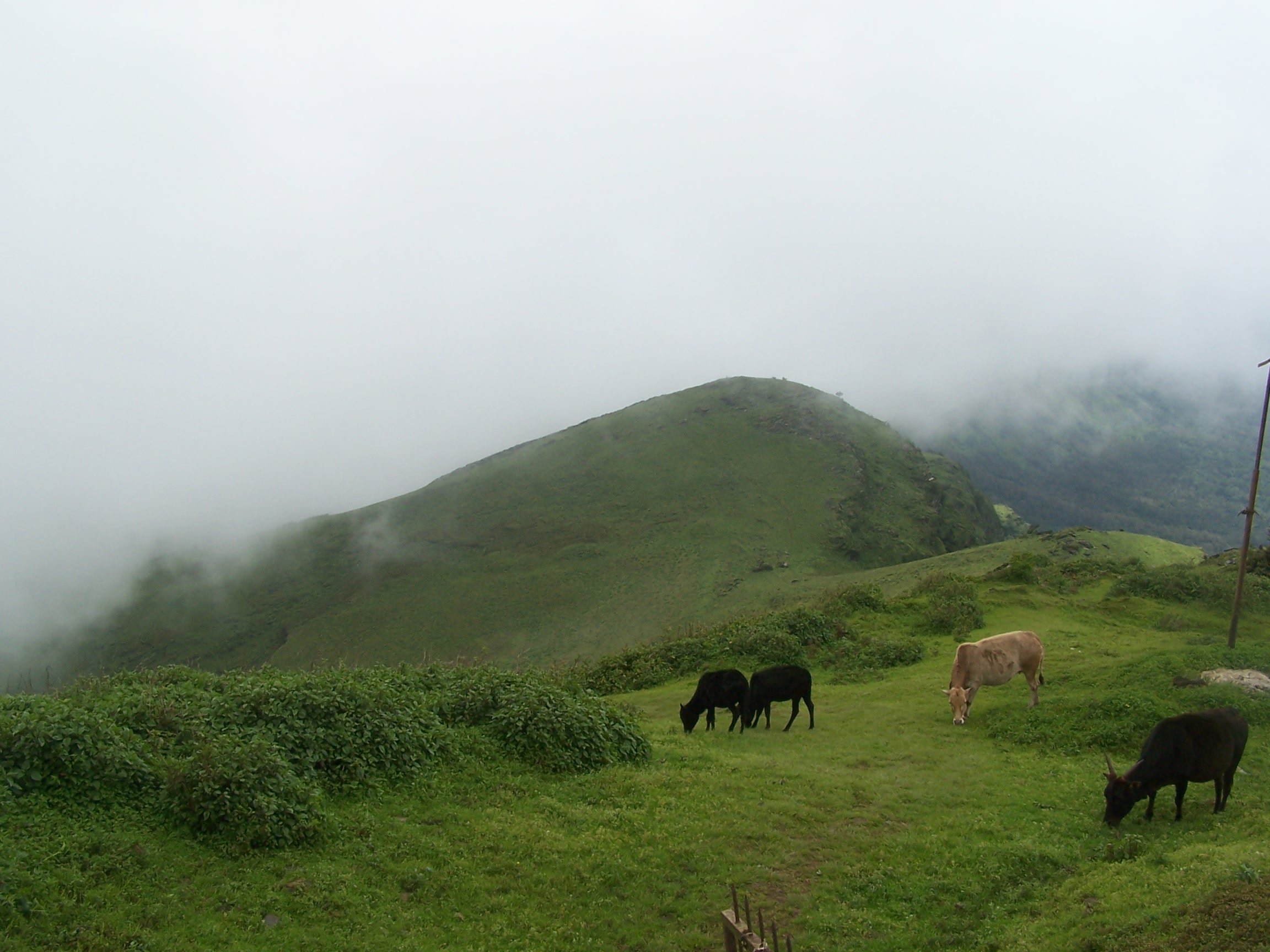 36 Places to Visit in Chikmagalur, Tourist Places in Chikmagalur ...