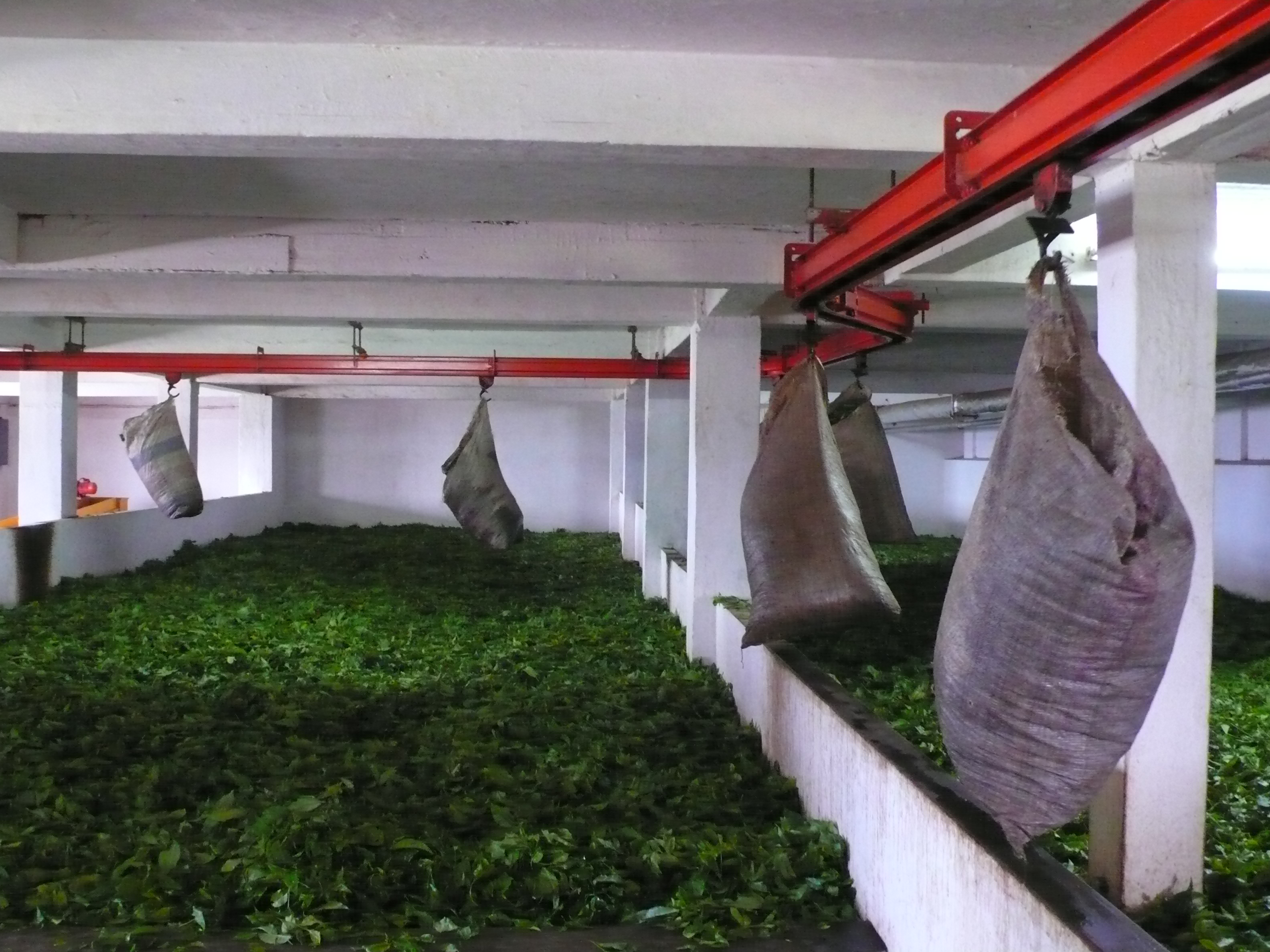Bois Cheri Tea Factory Mauritius, Mauritius - Location, Facts and all ...