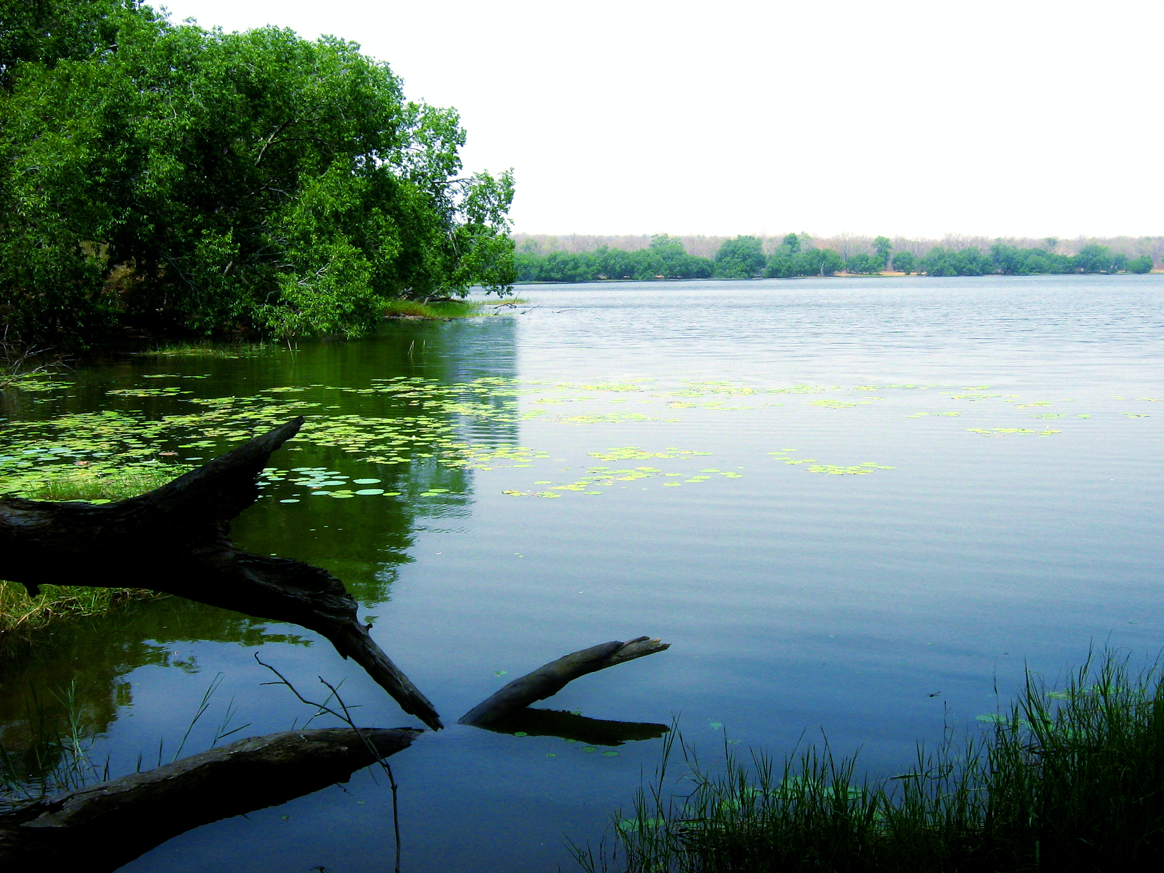 Chandrapur Tourism, Chandrapur Travel Guide, Must See Places in ...